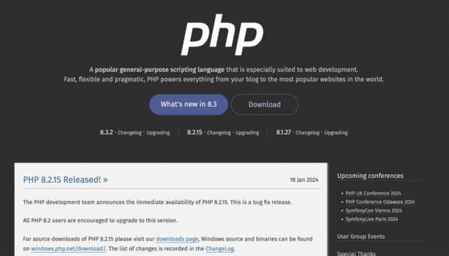Best Programming Languages In 2025